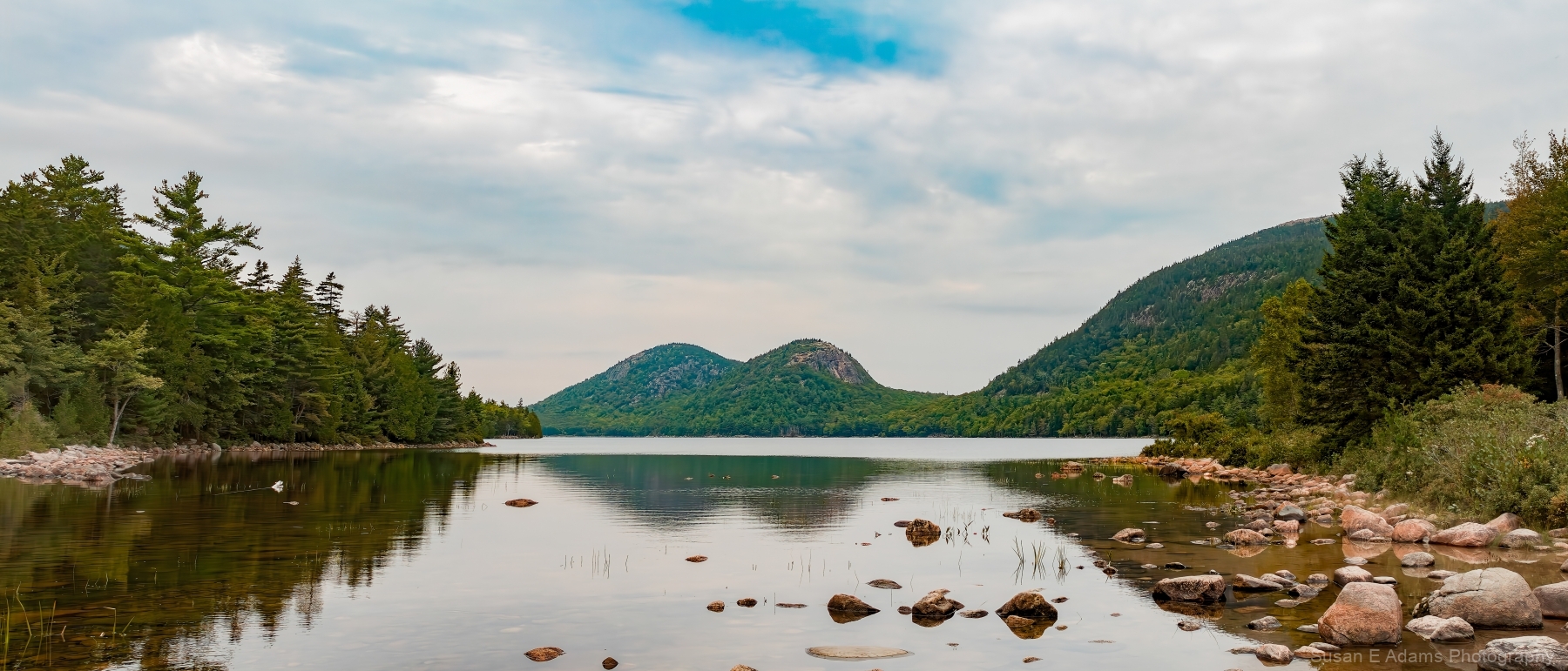 Susan E Adams Photography – Doing a little photography