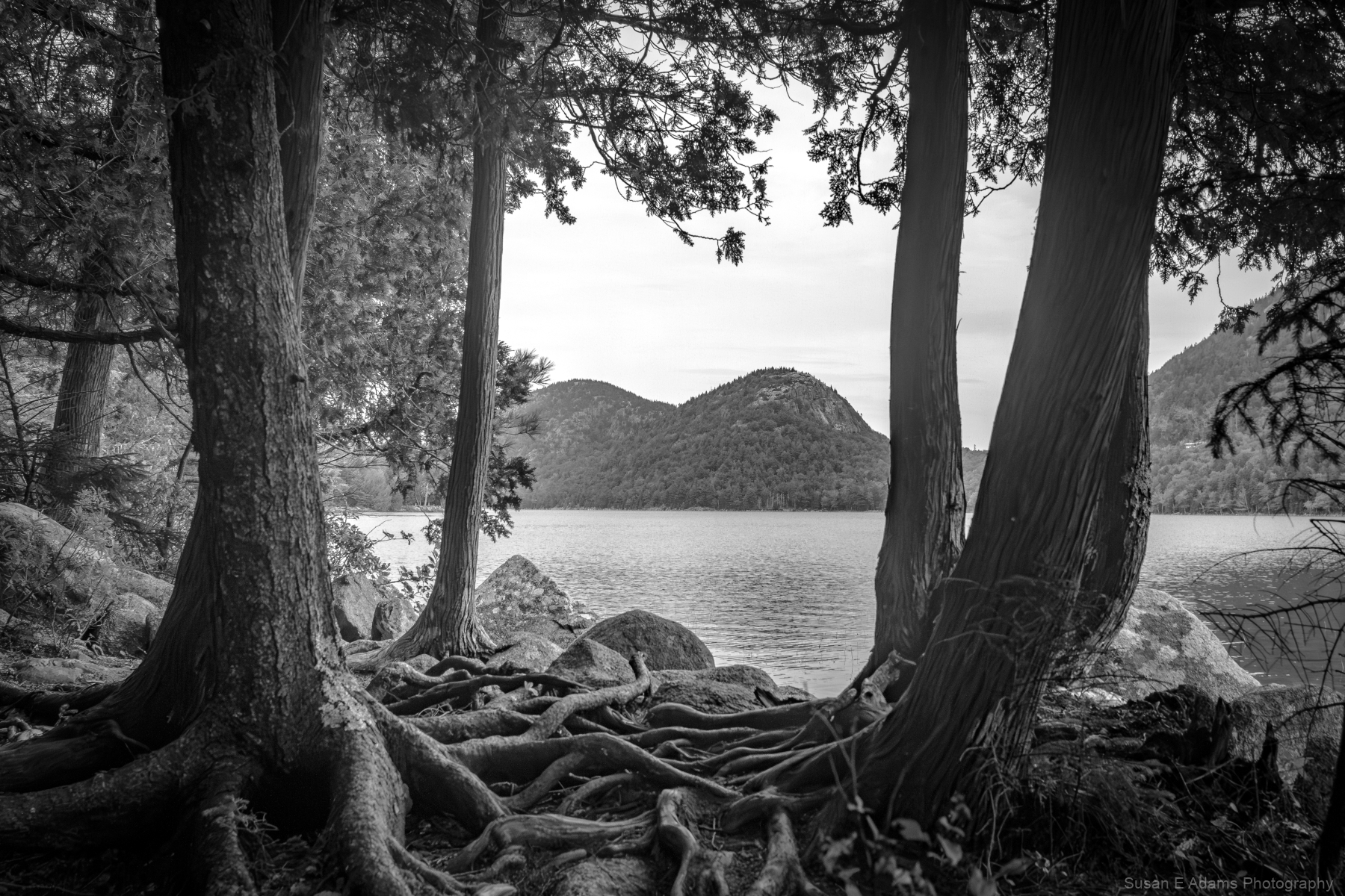 Susan E Adams Photography – Doing a little photography