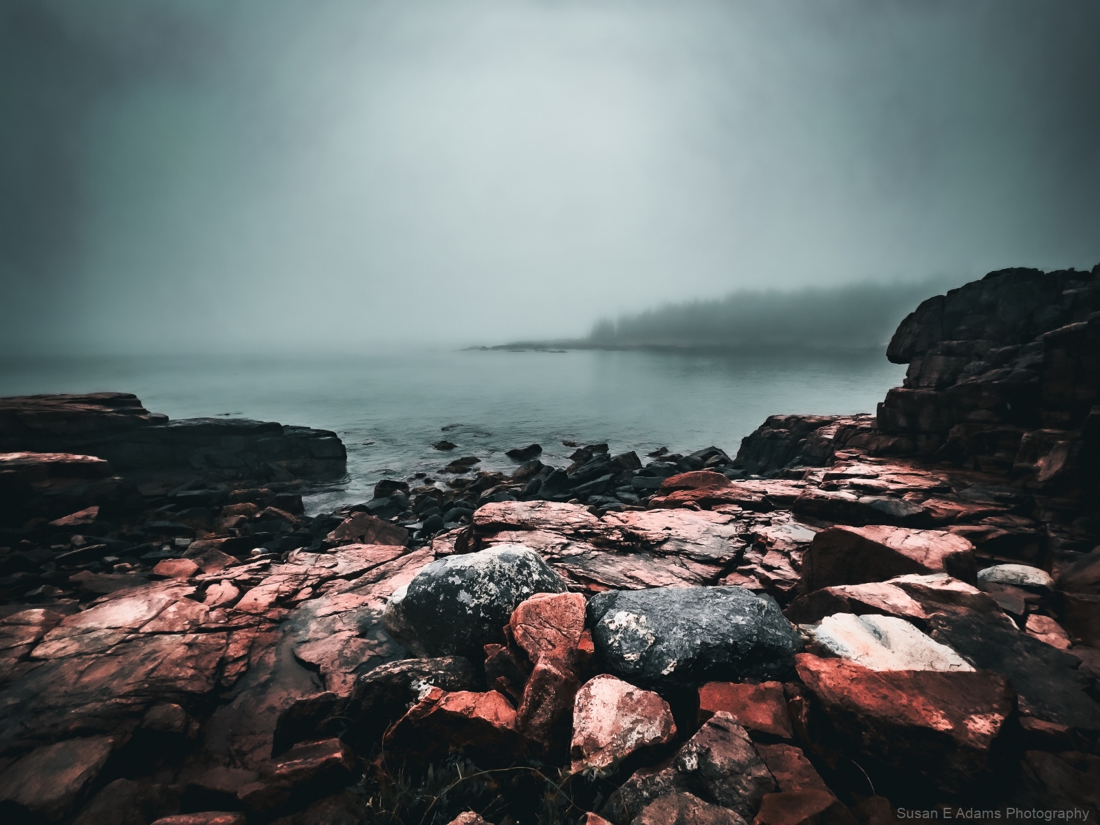 Susan E Adams Photography – Doing a little photography