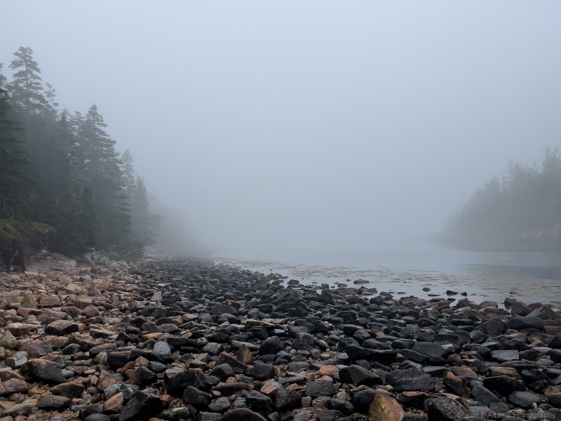 Susan E Adams Photography – Doing a little photography